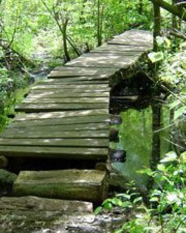 Destination Salem | Official Travel & Tourism Website of Salem, MA