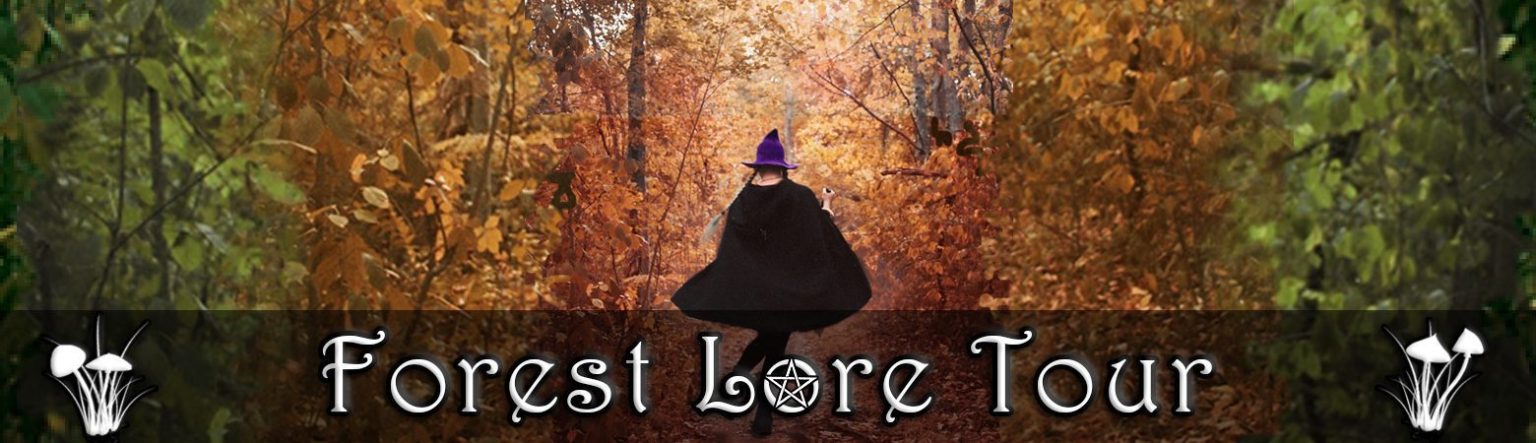 Forest Lore Tour - Destination Salem
