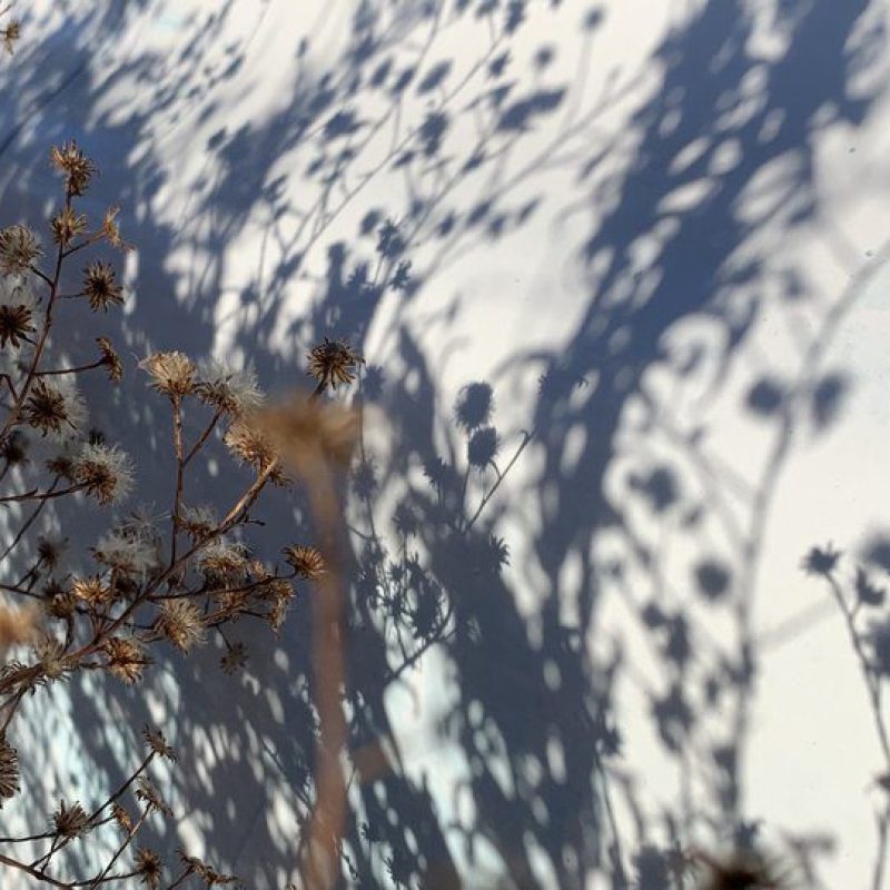 The History Buff's Guide to Salem, Massachusetts - Destination Salem